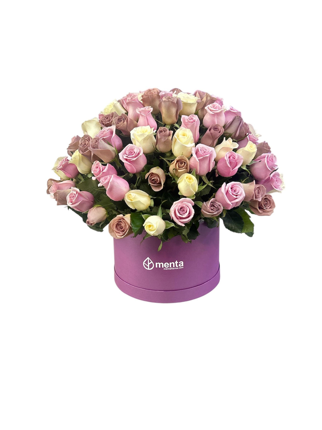 Anahí-caja redonda uva con 125 rosas de color pastel – Menta Flores 🇲🇽