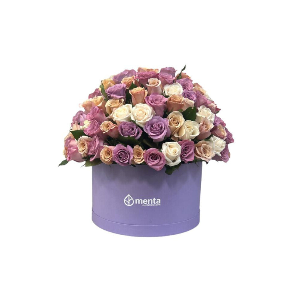 Anahí-caja redonda grande con 125 rosas de color pastel – Menta Flores 🇲🇽
