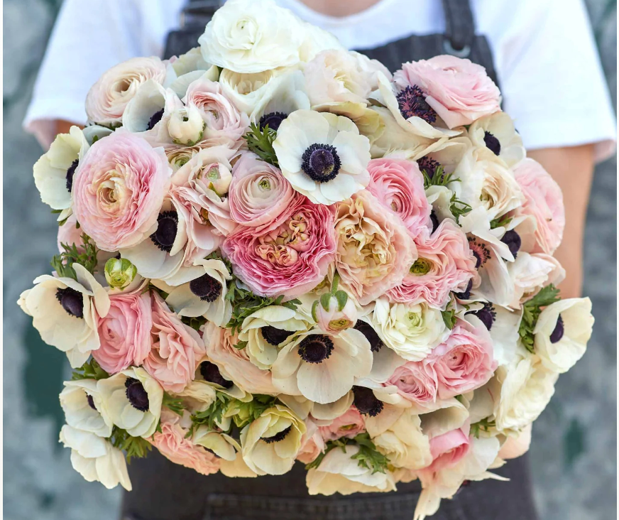 Menta Flores | Diseños florales increíbles – Menta Flores 🇲🇽