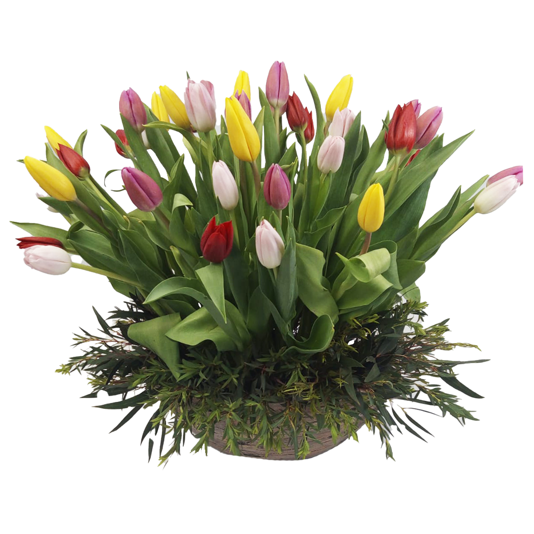 Gretta - base efecto madera con 40 tulipanes mixtos – Menta Flores 🇲🇽